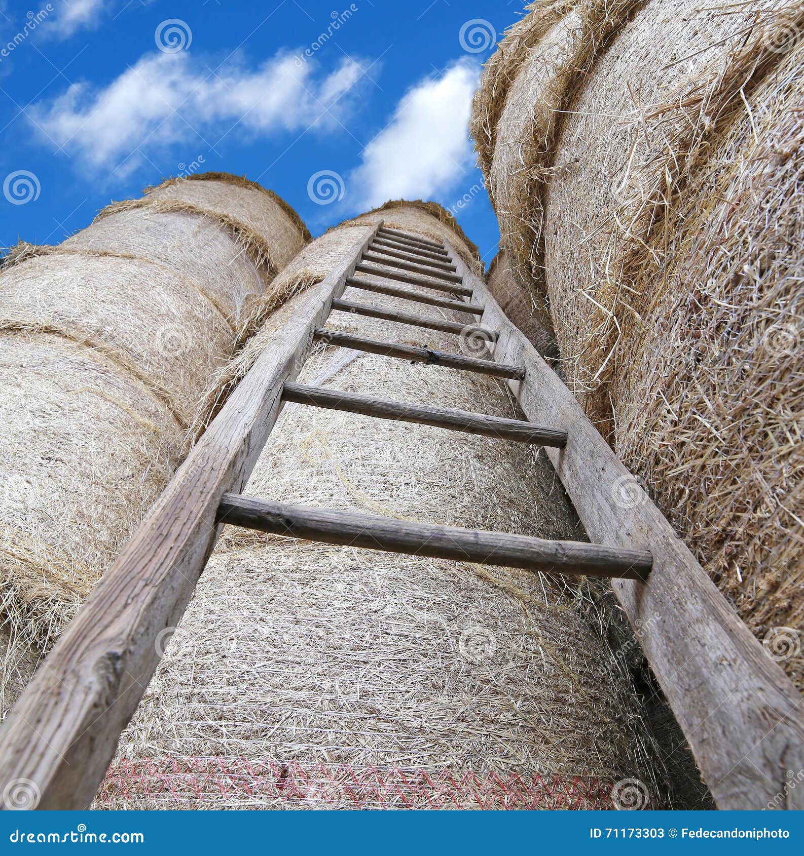 Wood Ladder in the Barn with Bales of Hay Stock Image - Image of huge ...