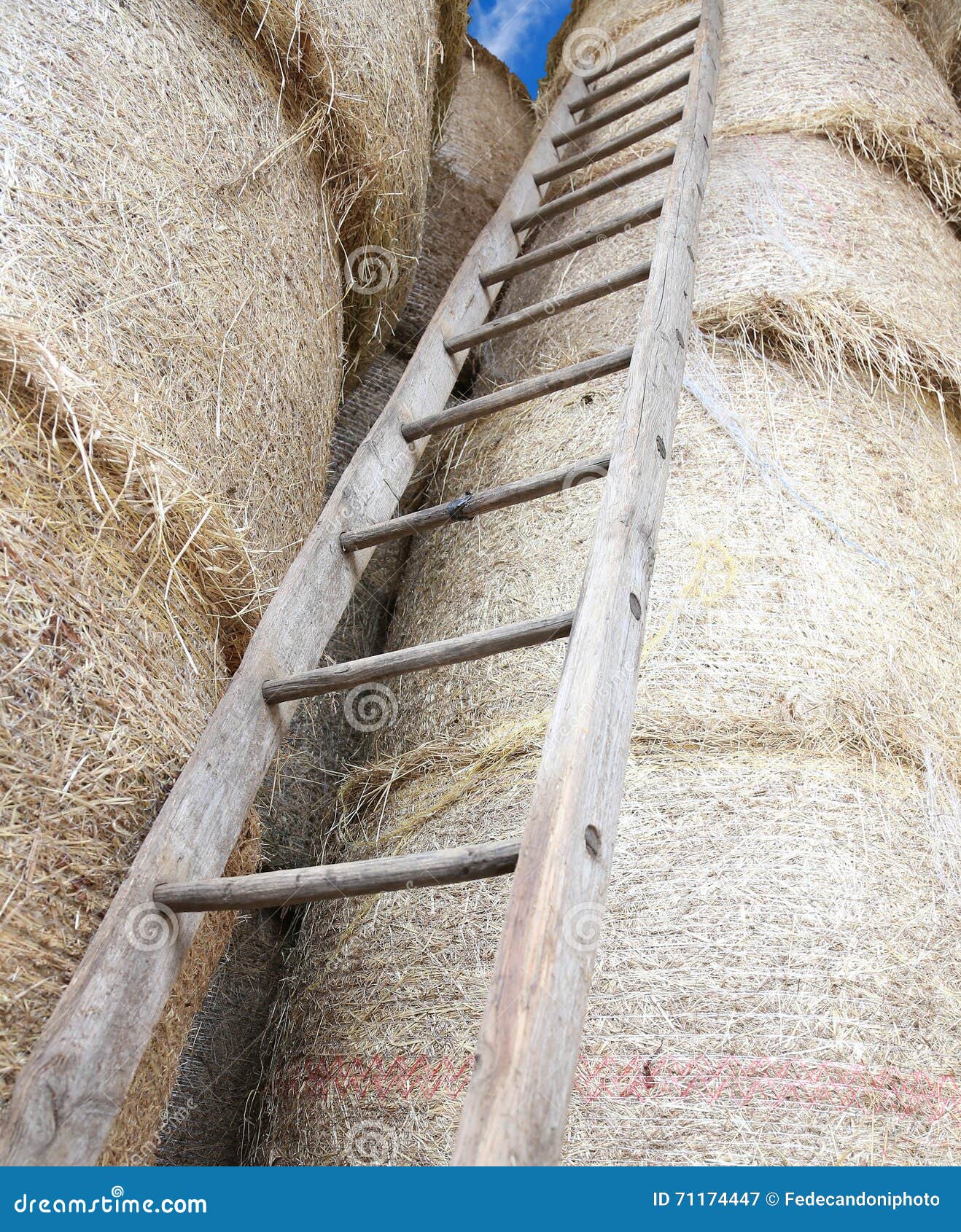 Wood Ladder in the Barn of the Farm Stock Image - Image of bales, huge ...