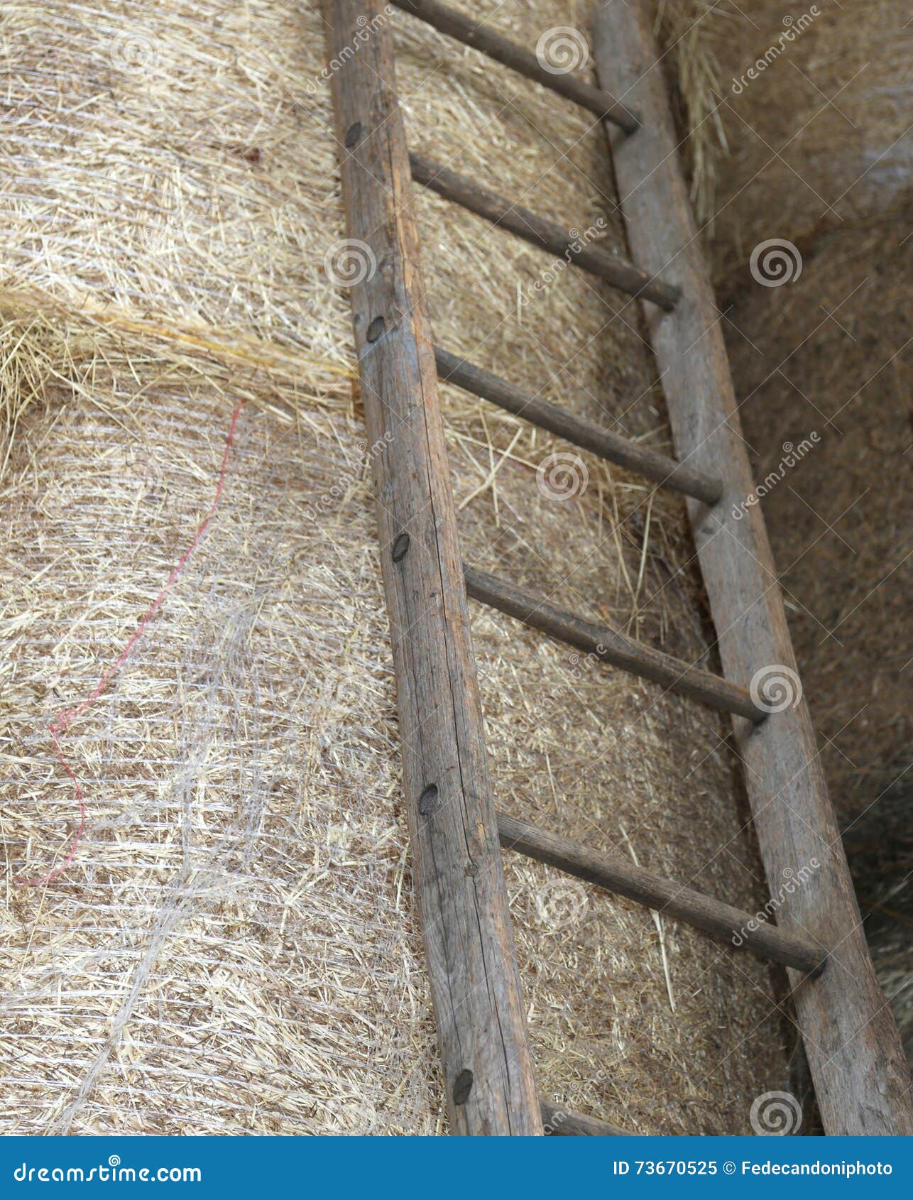 Wood Ladder in the Barn of the Farm Stock Image - Image of chaff ...
