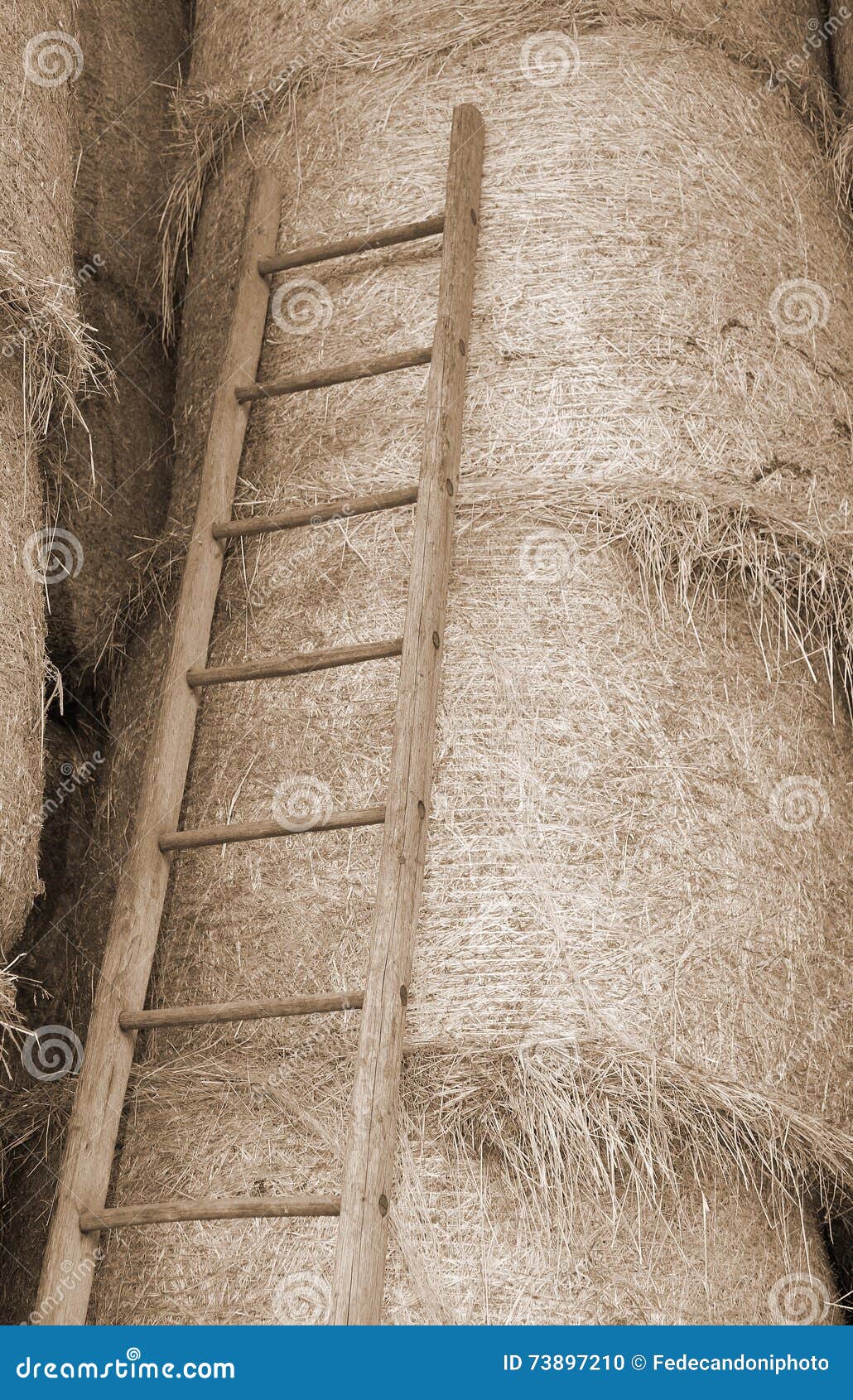 Wood Ladder in the Barn of the Farm Stock Photo - Image of high, rolled ...