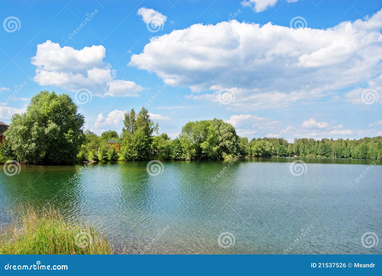 Wood lake stock photo. Image of landscape, park, sunlight - 21537526