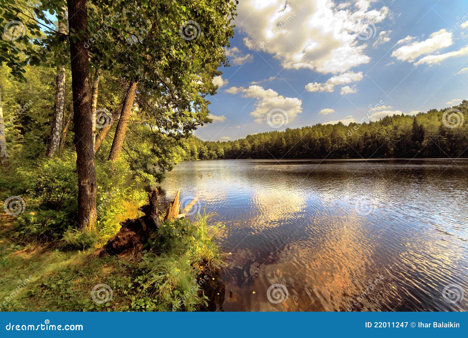 Wood lake stock image. Image of background, horizon, natural - 22011247
