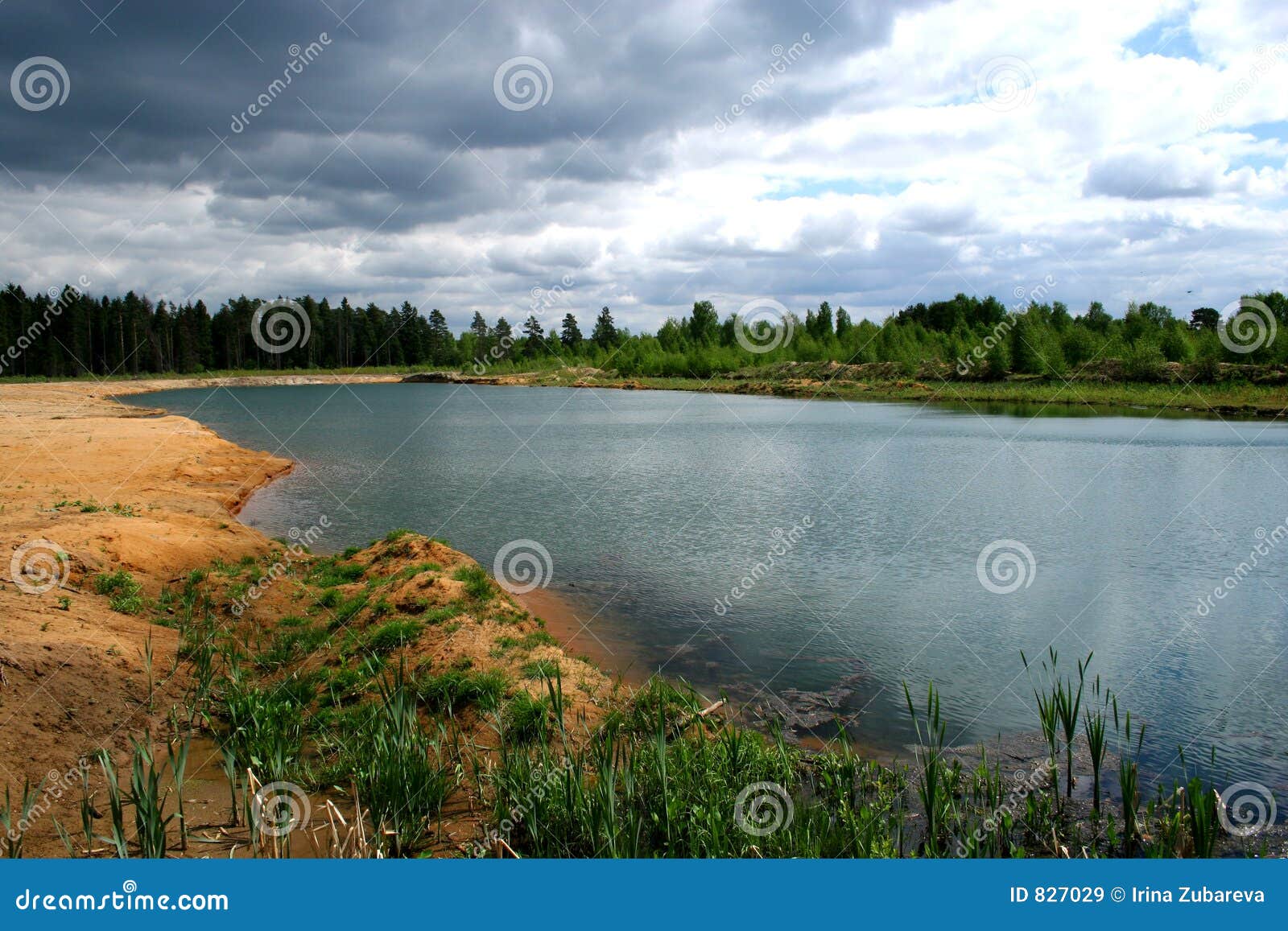 Wood lake. stock image. Image of green, reflection, plants - 827029