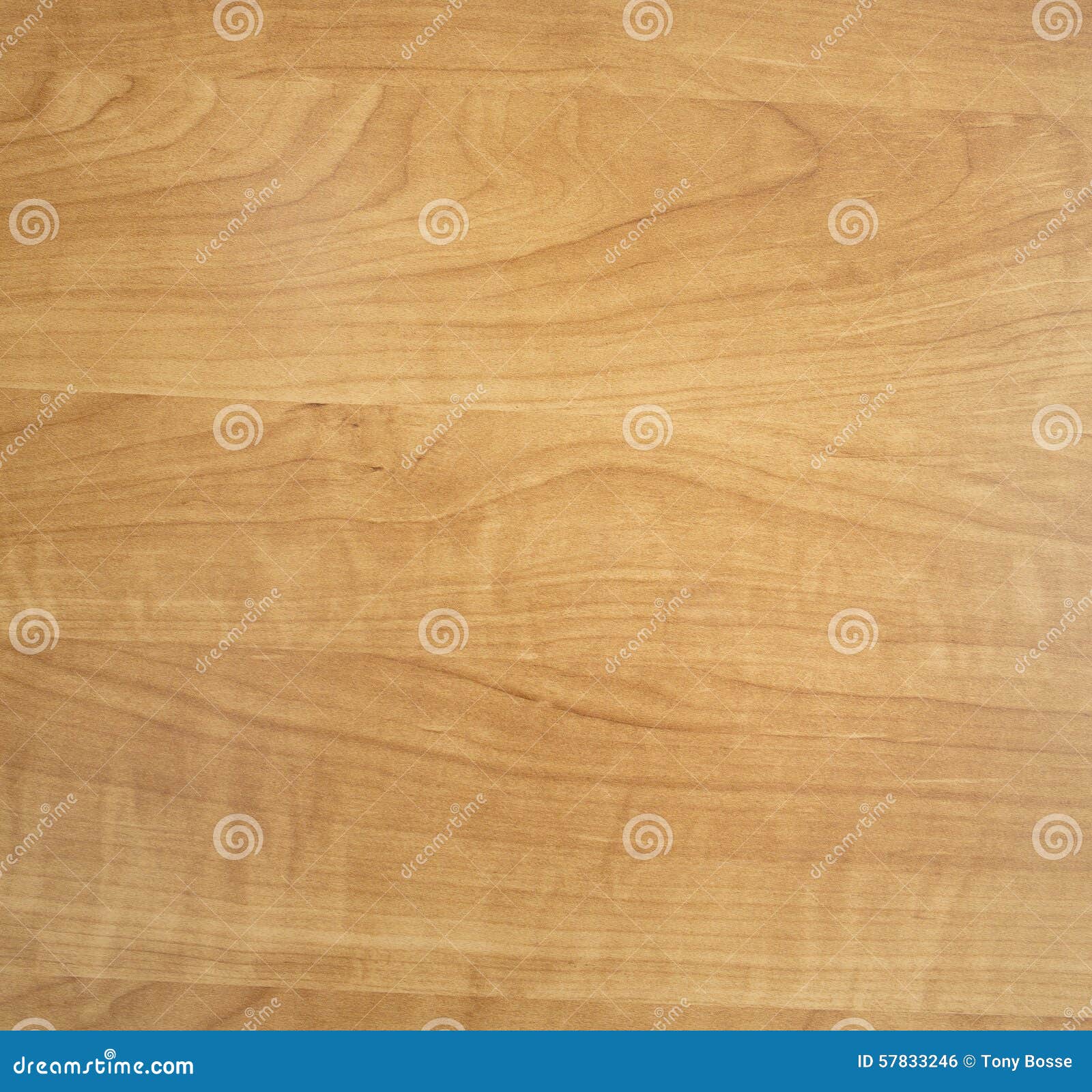 Wood Laminate Concept. Layout Of Laminate Flooring Samples. Samples Of ...