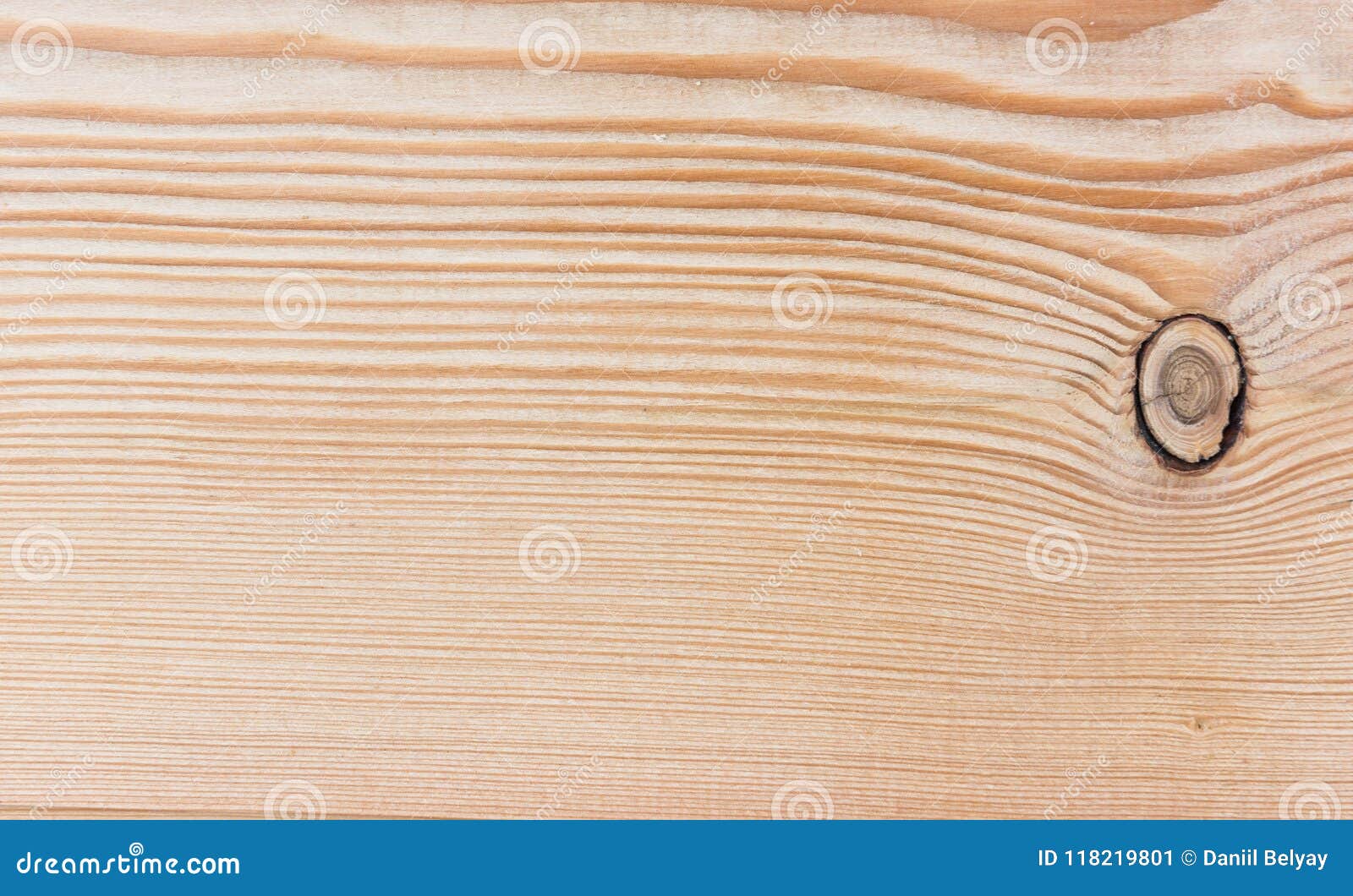 Wood - Larch Tree - Natural Wooden Texture Stock Image - Image of ...