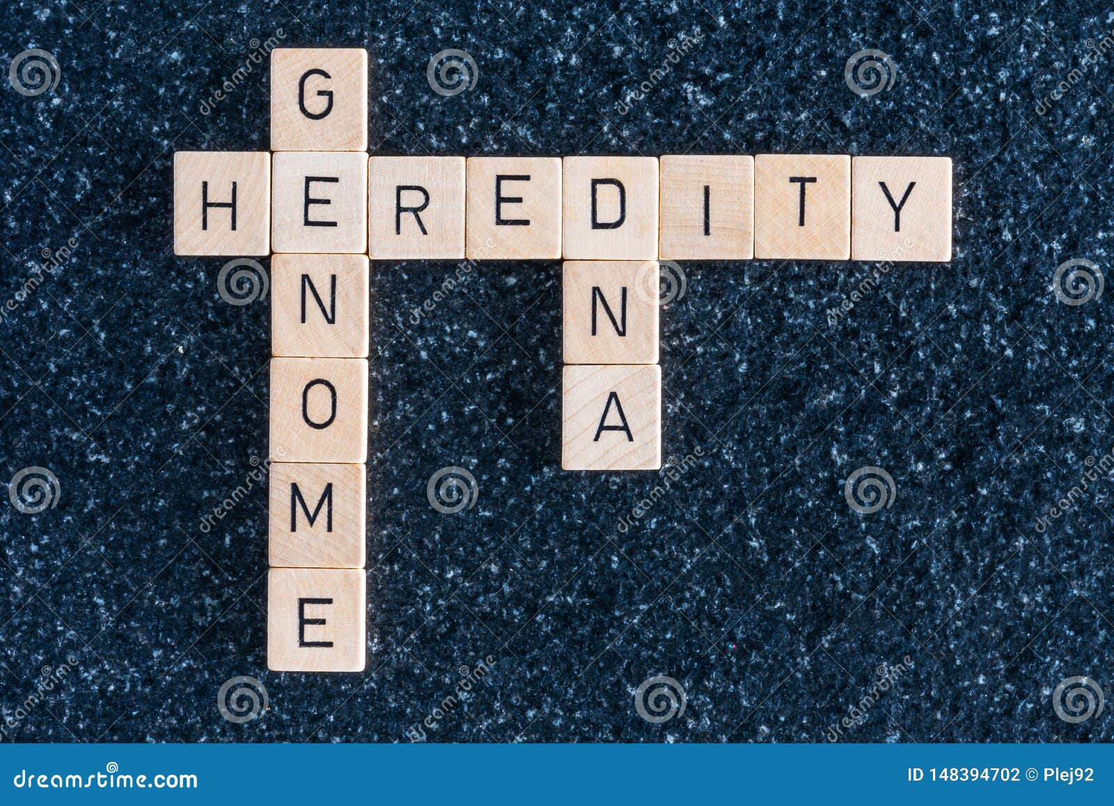 Wood Letters Forming Genome Dna and Heredity Words Stock Photo - Image ...