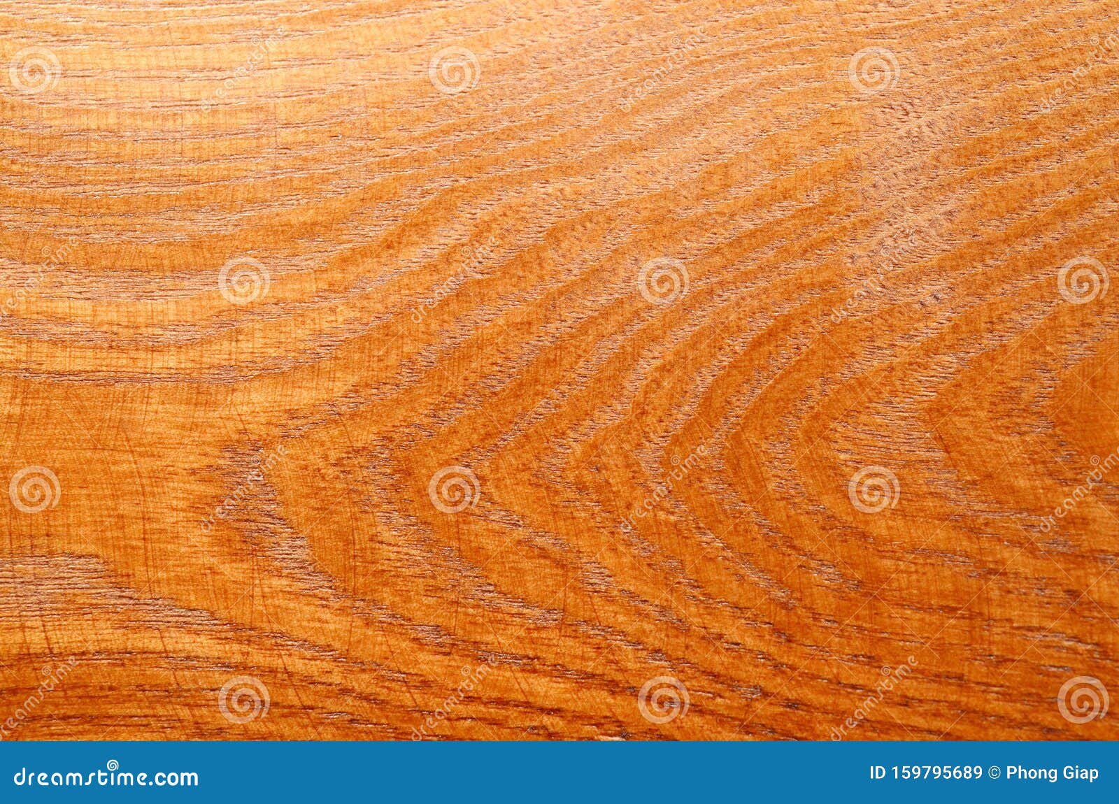 Wooden HQ Walnut texture. stock image. Image of wooden - 159795689