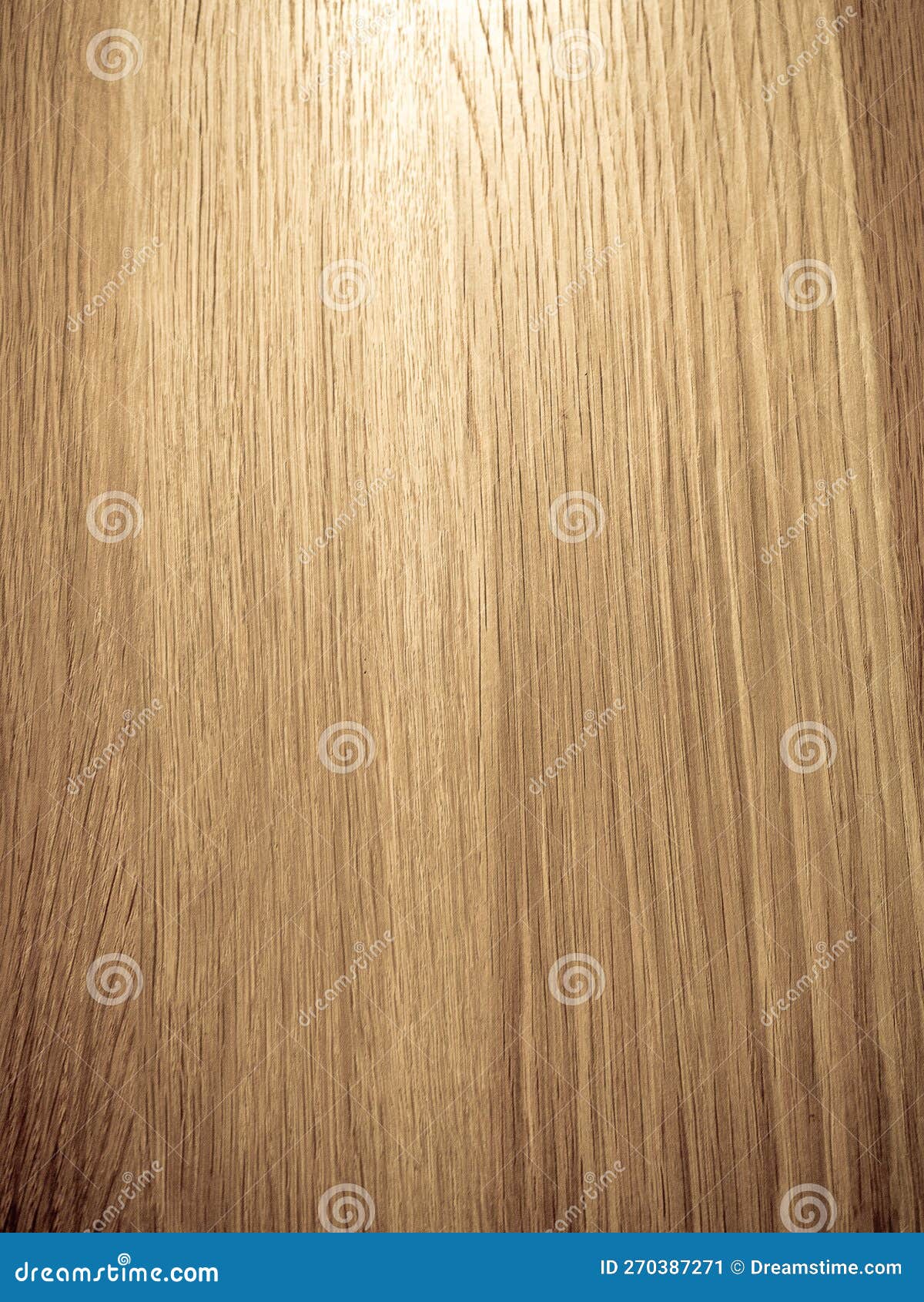 Wood Light Oak Texture stock image. Image of surface - 270387271