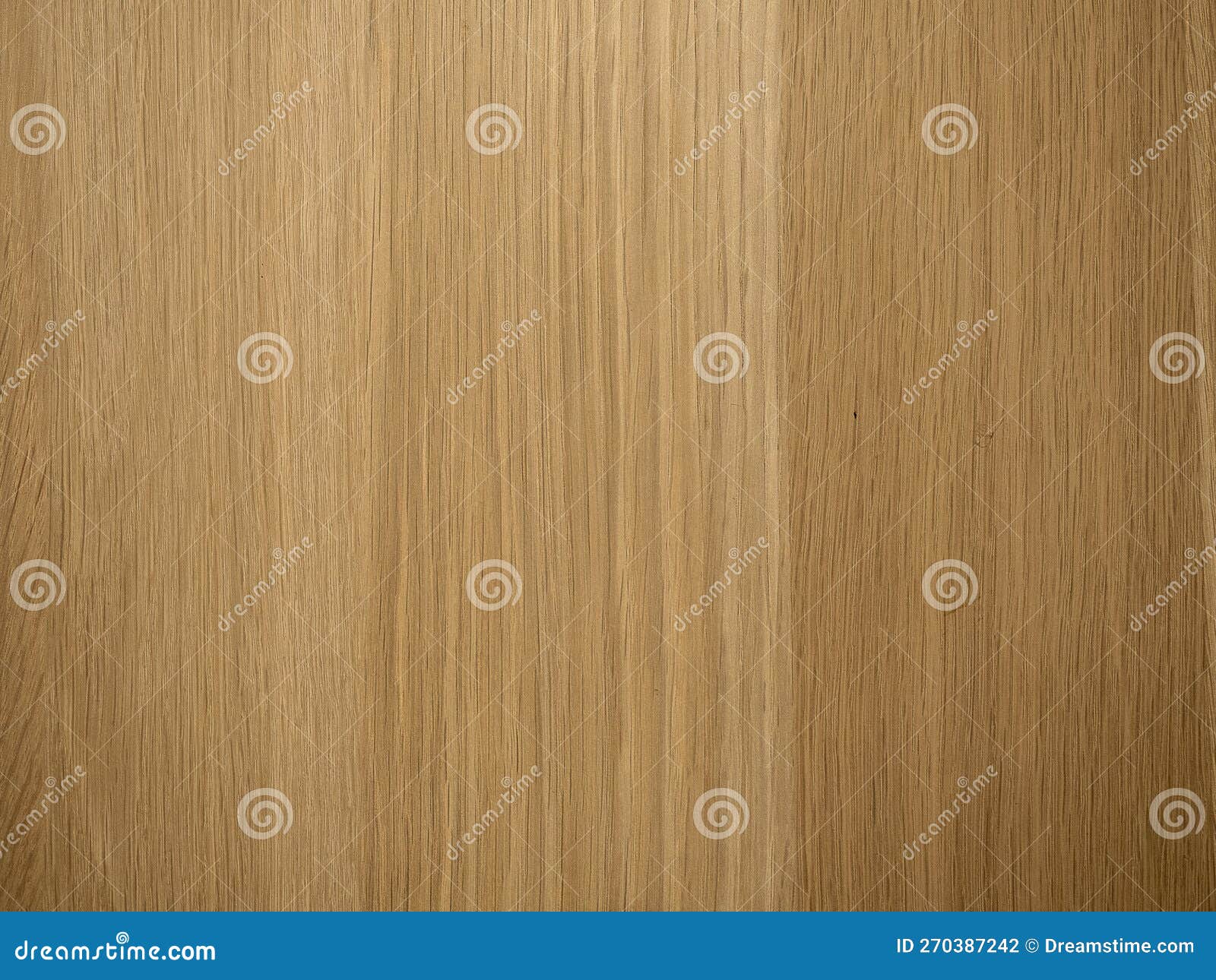 Wood Light Oak Texture stock photo. Image of texture - 270387242