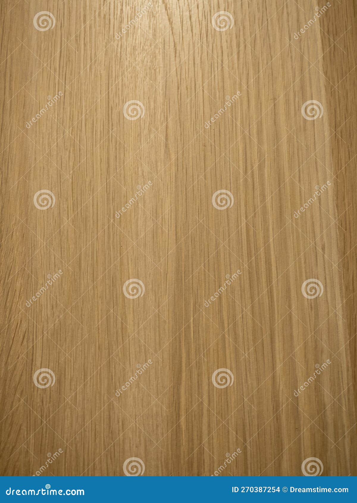 Wood Light Oak Texture stock illustration. Illustration of table ...