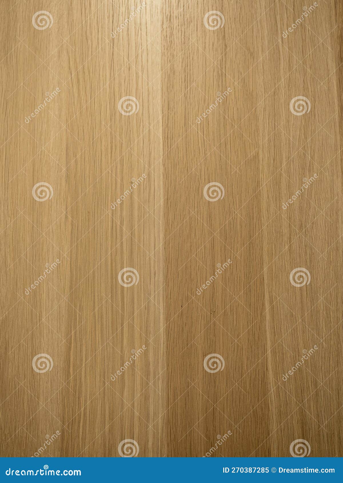 Wood Light Oak Texture stock image. Image of design - 270387285