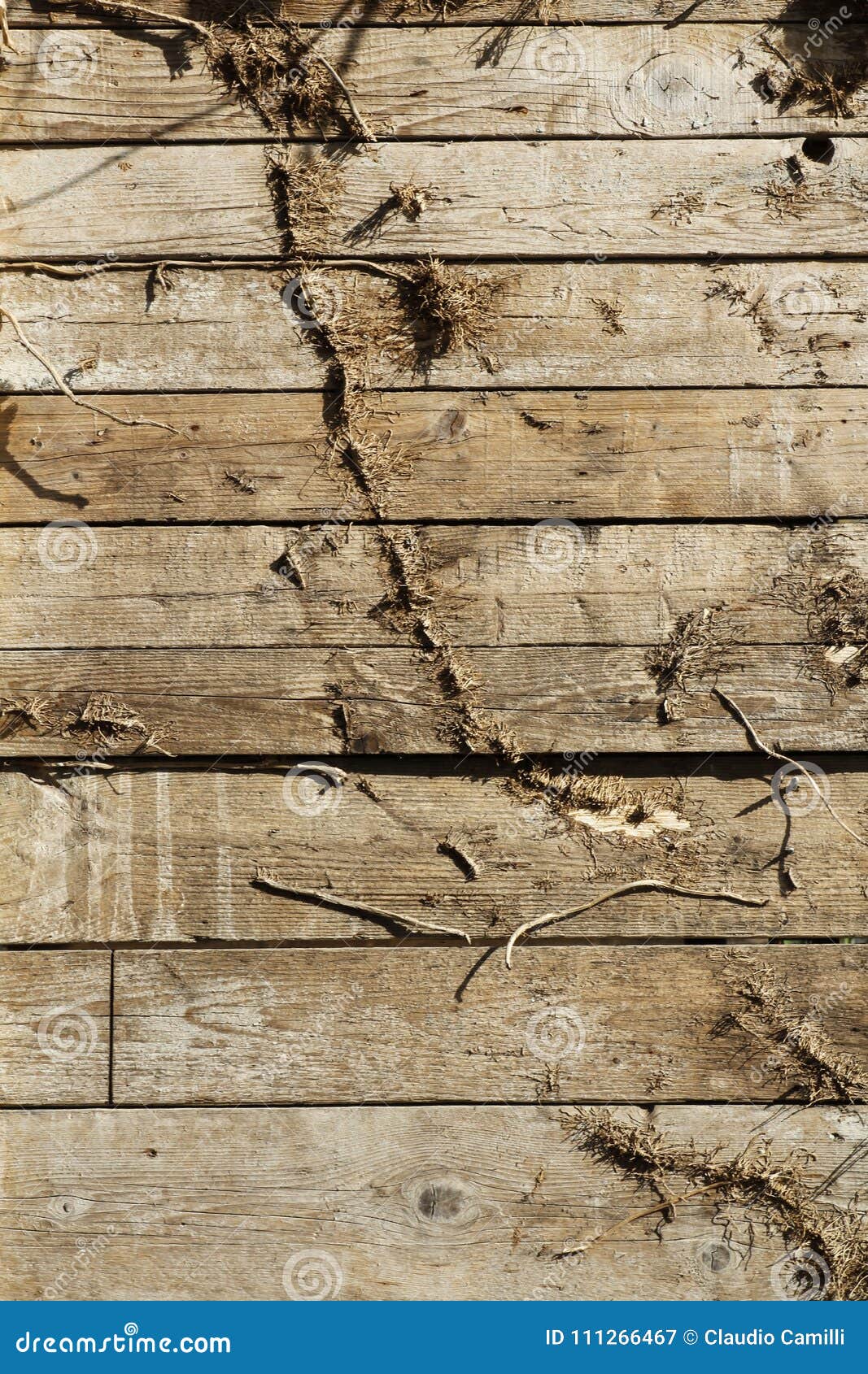 Wood line pattern stock image. Image of wallpaper, floor - 111266467