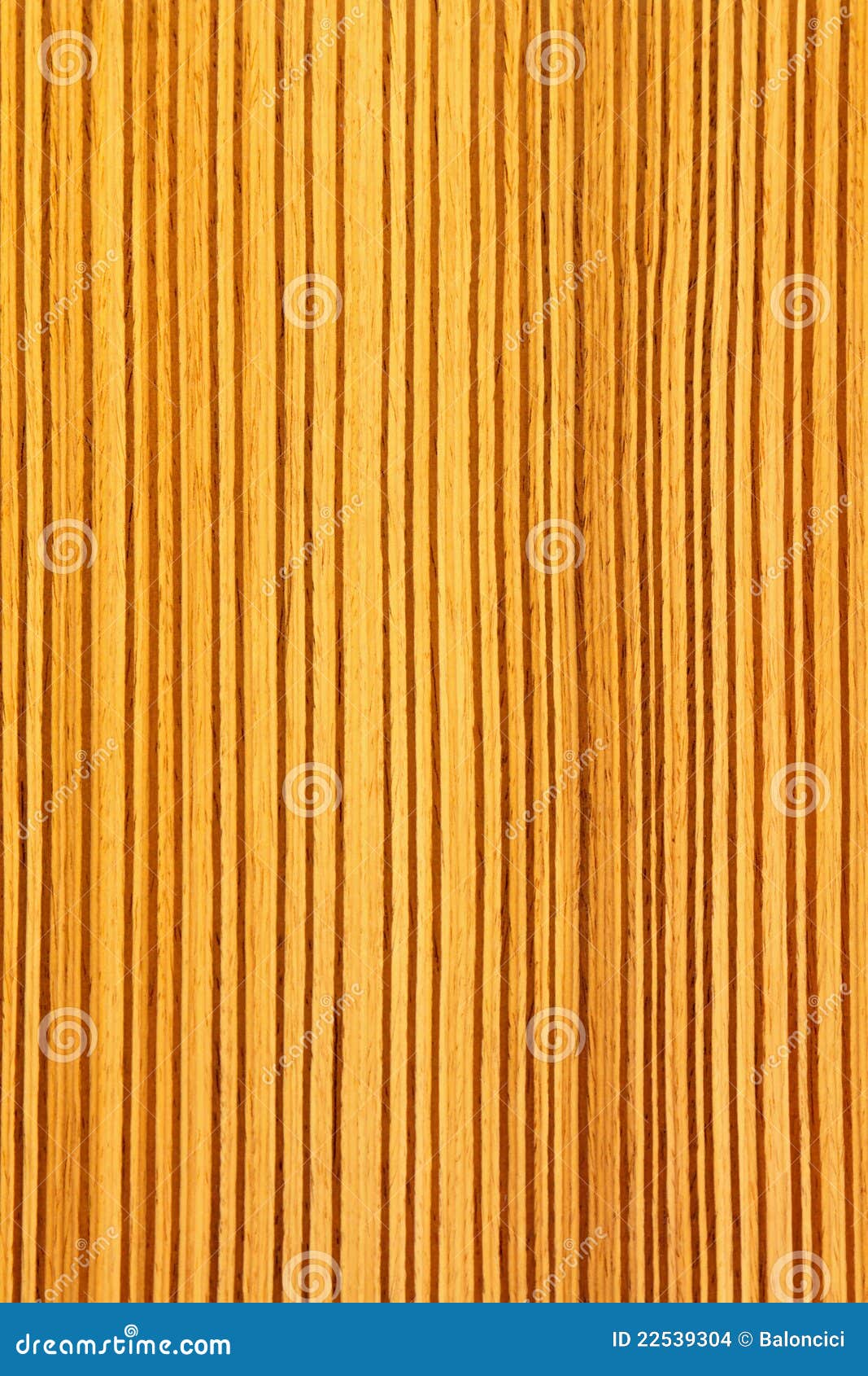 Wood lines stock photo. Image of texture, backdrop, lines - 22539304