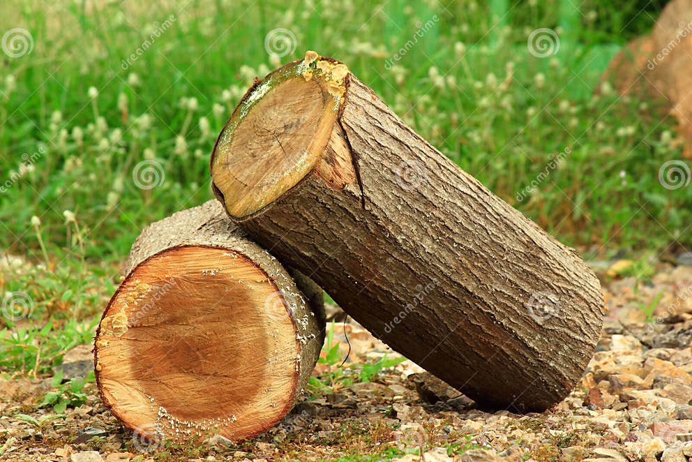 Wood Log stock image. Image of nature, wood, wooden, bark - 28312735
