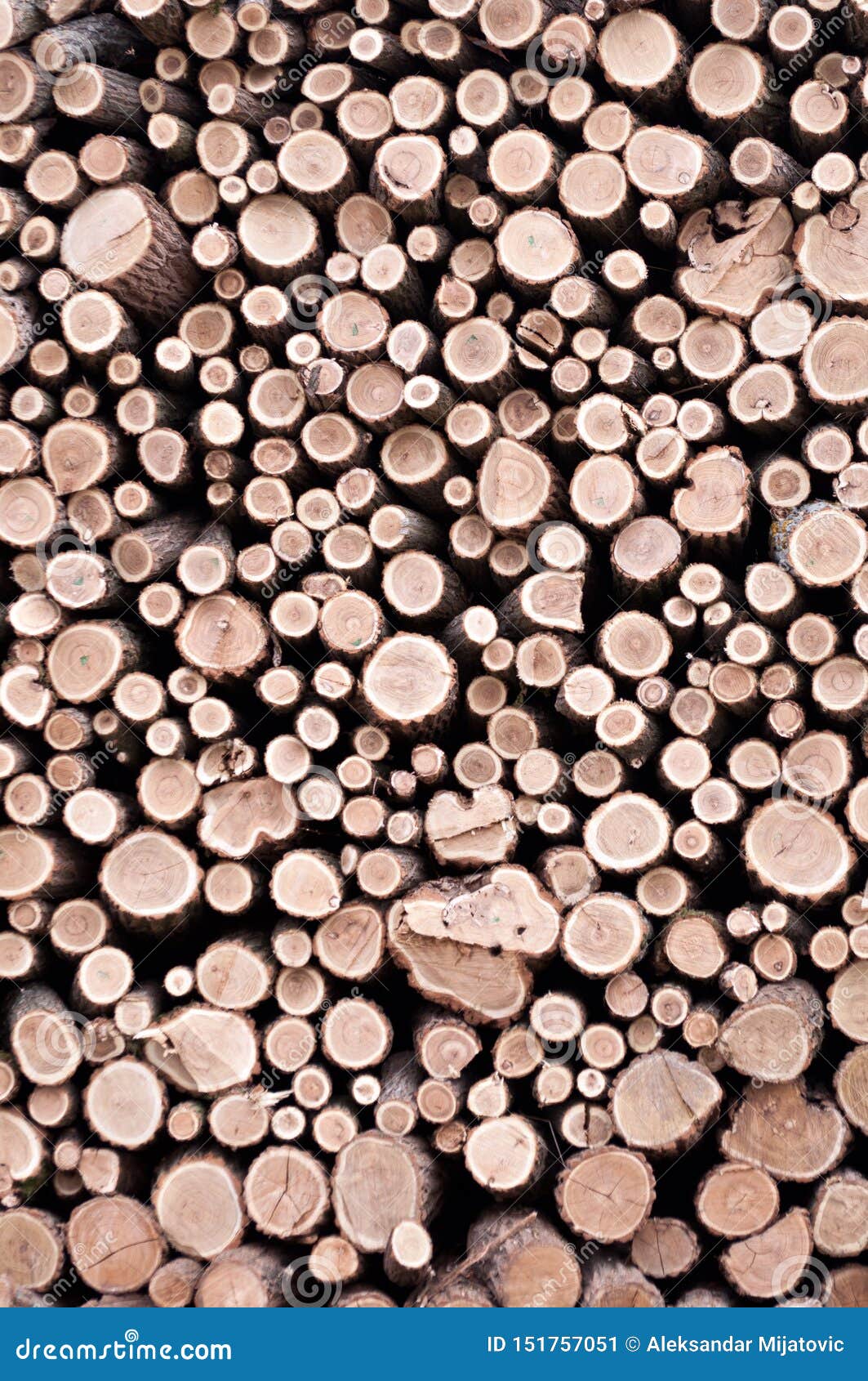 Wood log background stock image. Image of dried, background - 151757051