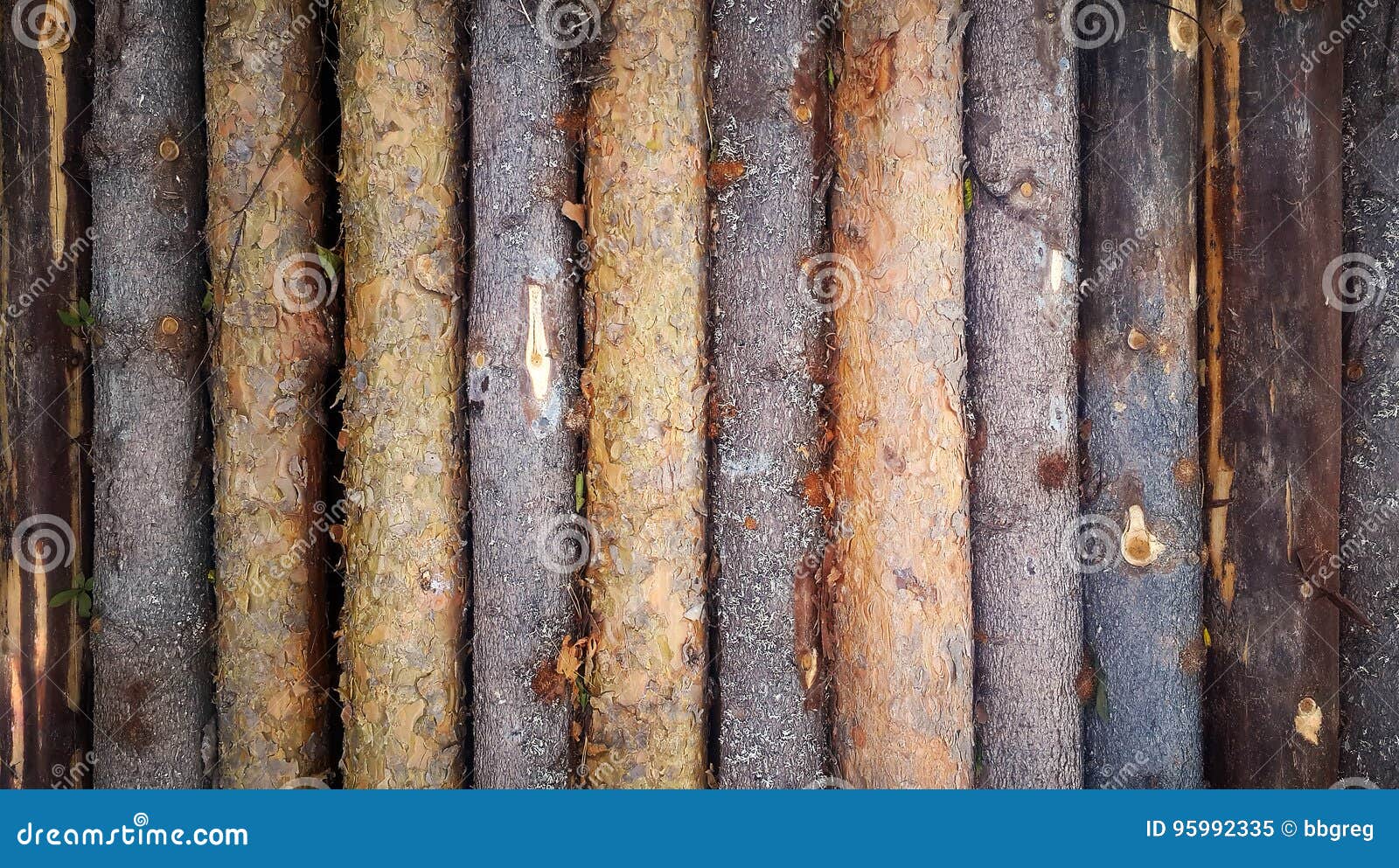 Wood Log Background Textured Pattern Plank Wall with Vignette Frame ...
