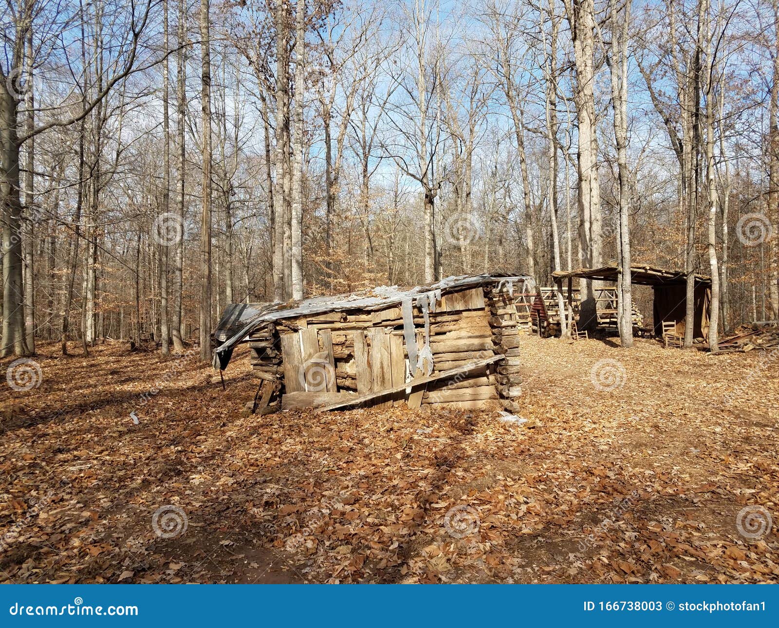 Wood or Log Cabin or Structure in the Forest or Woods Stock Image ...