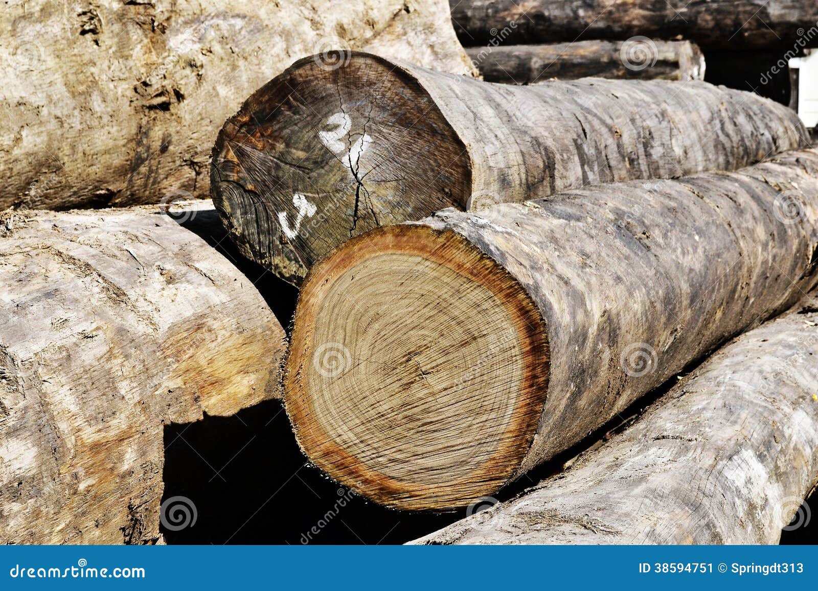 Wood log stock image. Image of manufacture, housing, cargo - 38594751