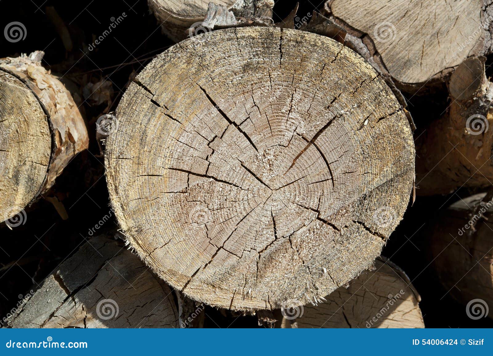 Wood log cut stock photo. Image of background, closeup - 54006424