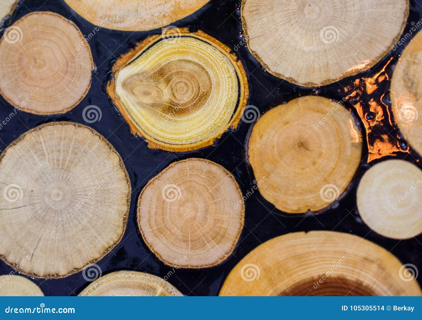 Wood Log Cut in Round Thin Pieces Stock Photo - Image of piece ...