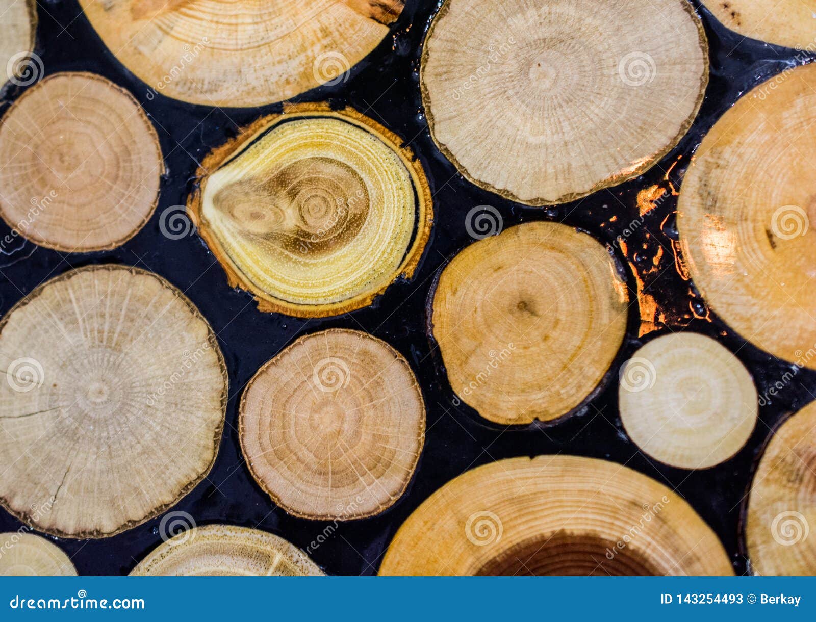 Wood Log Cut in Round Thin Pieces Stock Image - Image of nature, pine ...