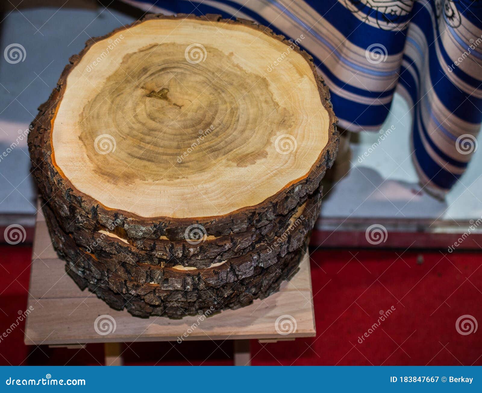 Wood Log Cut in Round Thin Pieces Stock Image - Image of brown, nature ...