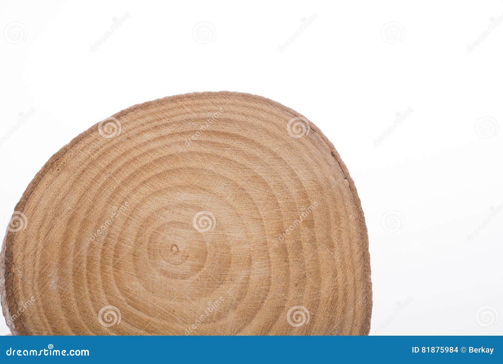 Wood Log Cut in Round Thin Pieces on White Background Stock Photo ...