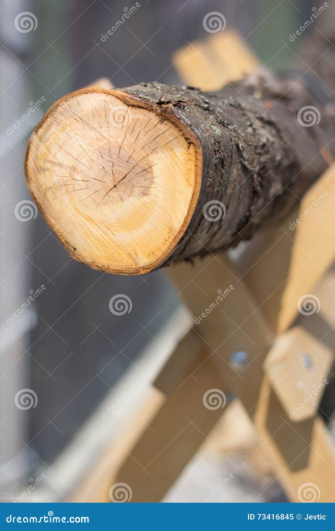 Wood log cutting stock image. Image of cutting, heavy - 73416845
