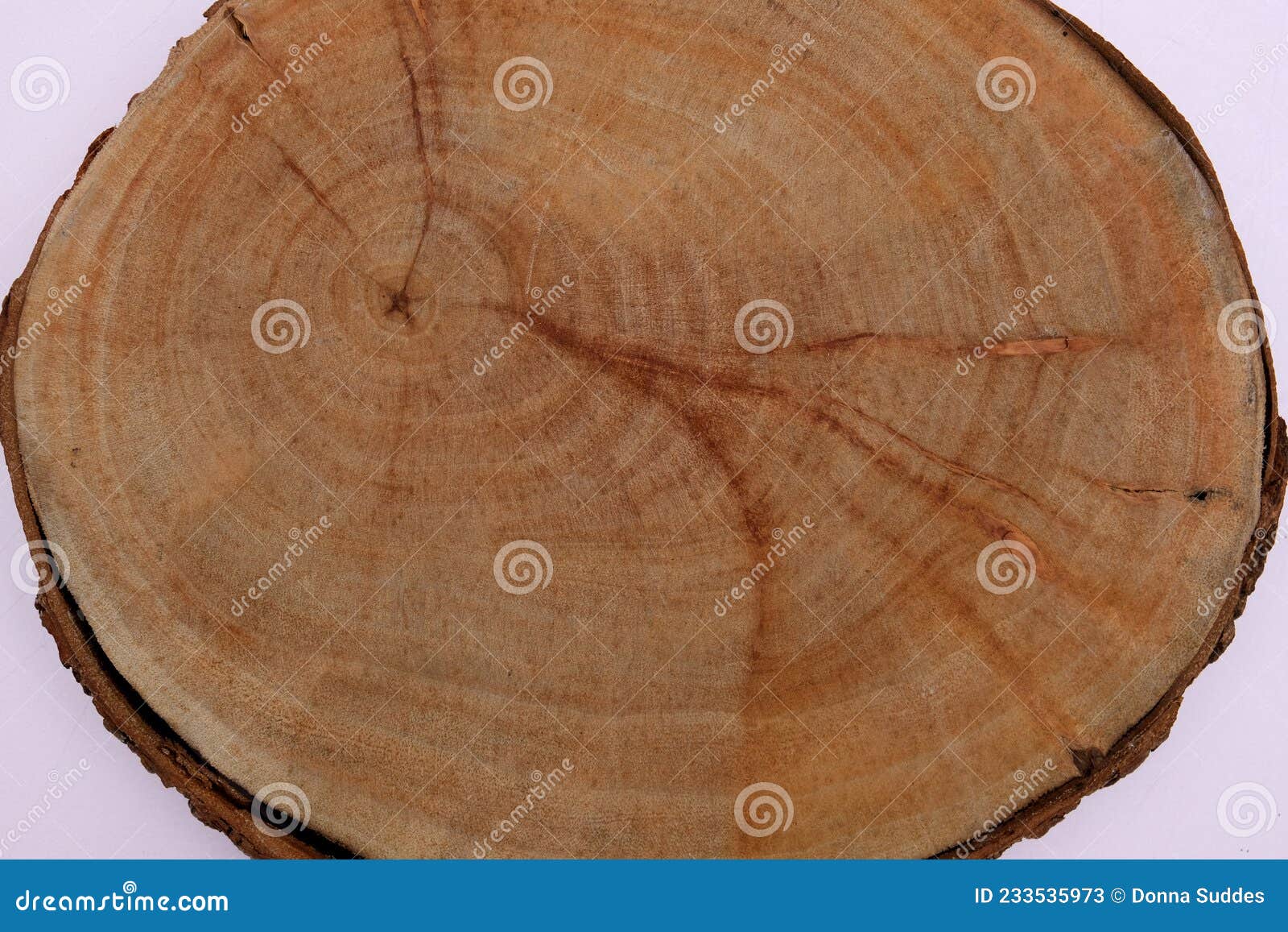 Wood Log Grain Pattern stock image. Image of history - 233535973