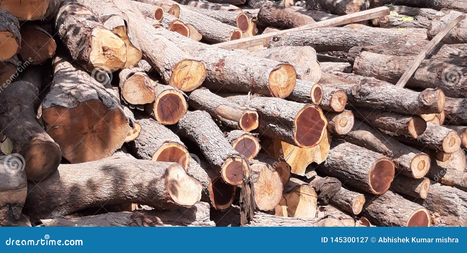 Wood Log Ina Specific Posiion Stock Image - Image of wood, attractive ...