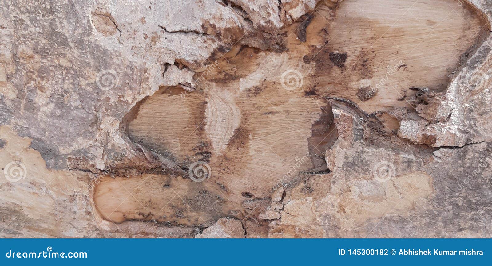 Wood Log Ina Specific Posiion Stock Photo - Image of attractive, types ...