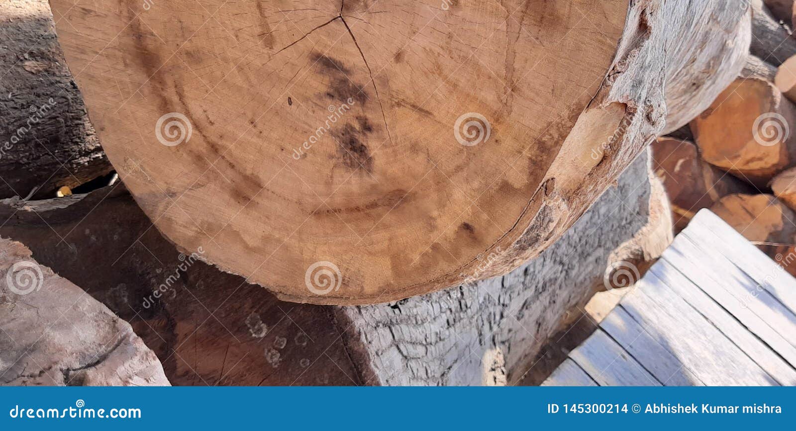 Wood Log Ina Specific Posiion Stock Photo - Image of looks, attractive ...