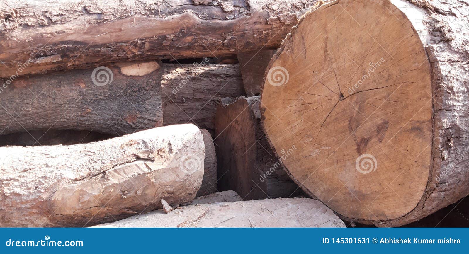 Wood Log Ina Specific Posiion Stock Image - Image of size, wood: 145301631