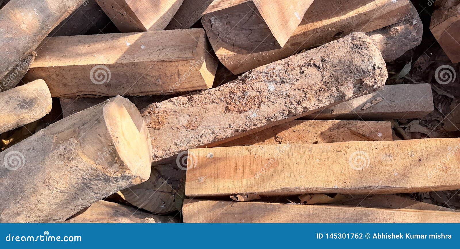 Wood Log Ina Specific Posiion Stock Photo - Image of specific ...