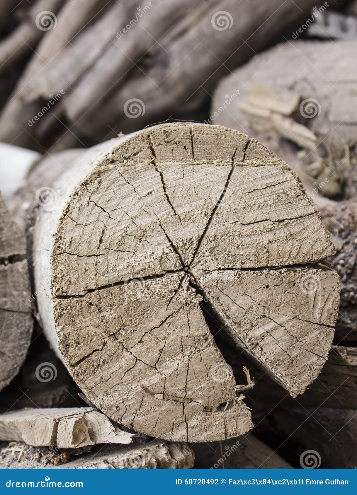Wood Log stock photo. Image of rural, carpenter, lumber - 60720492