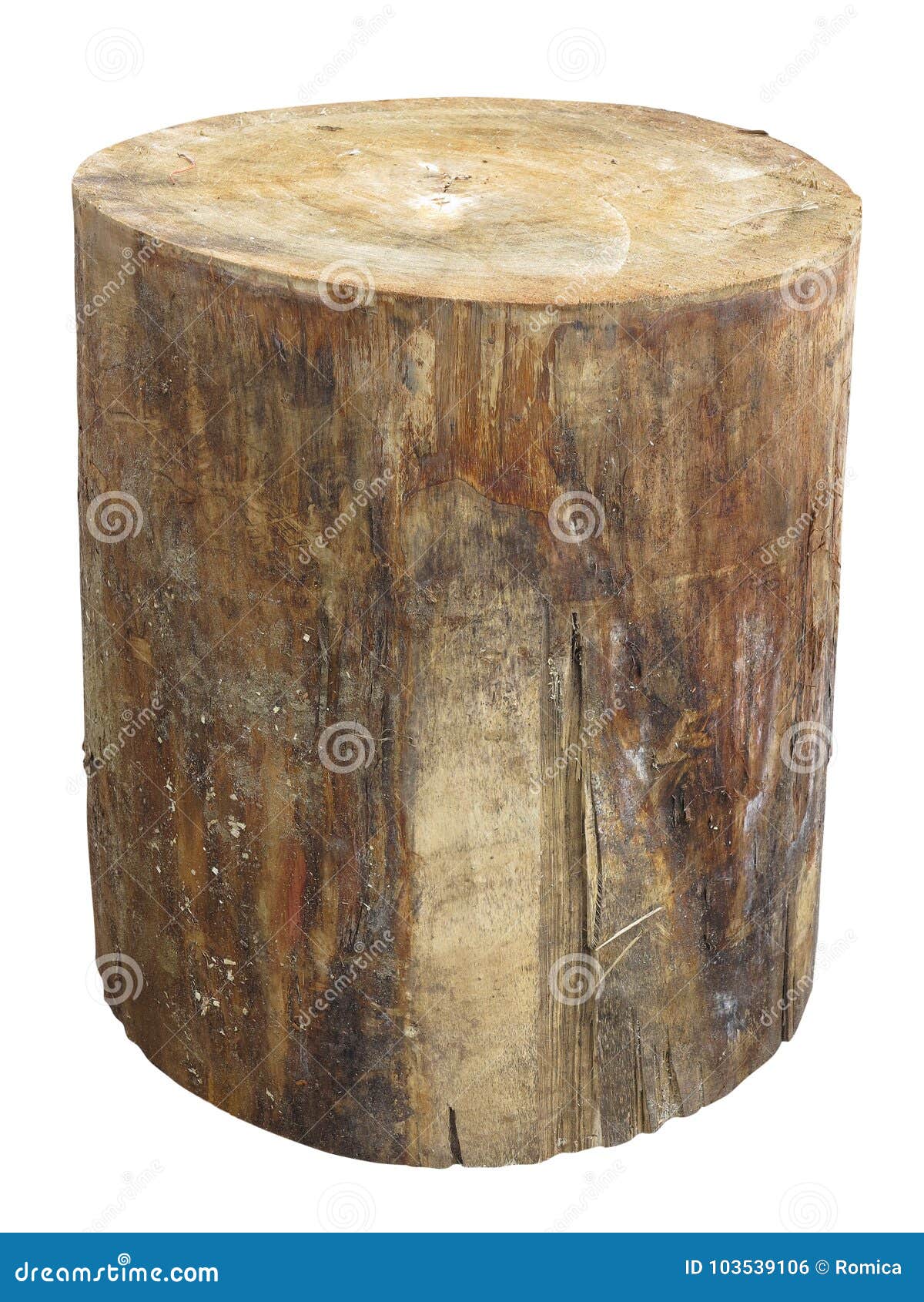 Wood Log Isolated on a White Background Stock Photo - Image of piece ...