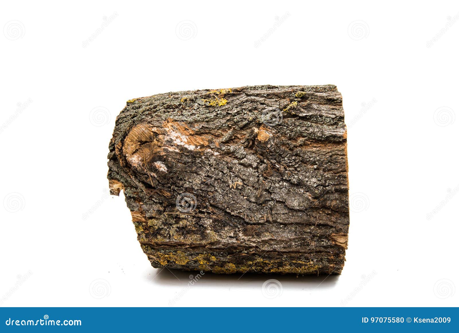 Wood log isolated stock photo. Image of material, color - 97075580