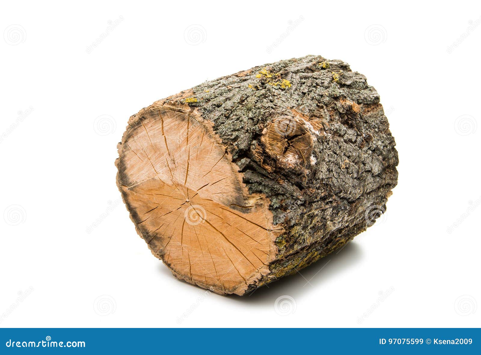 Wood log isolated stock image. Image of object, dead - 97075599
