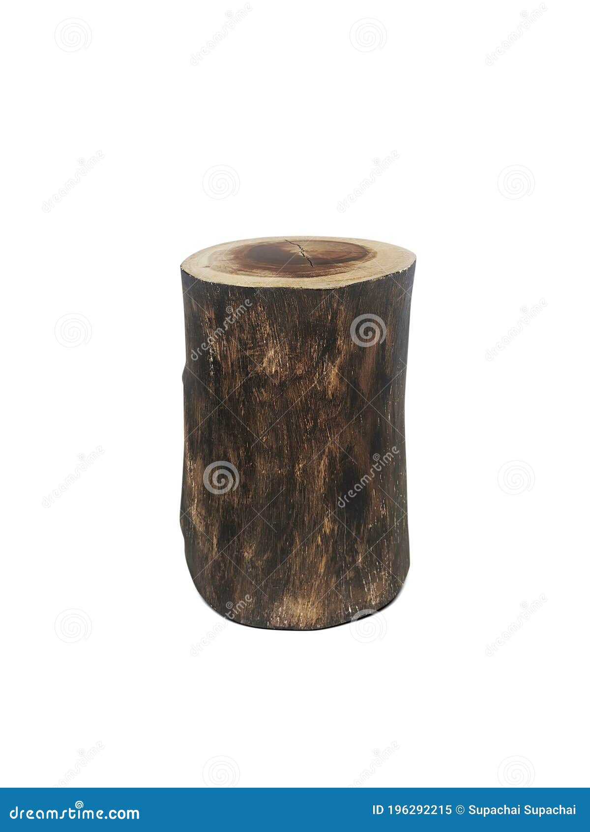 Wood Log Isolated on a White Background Stock Image - Image of ring ...