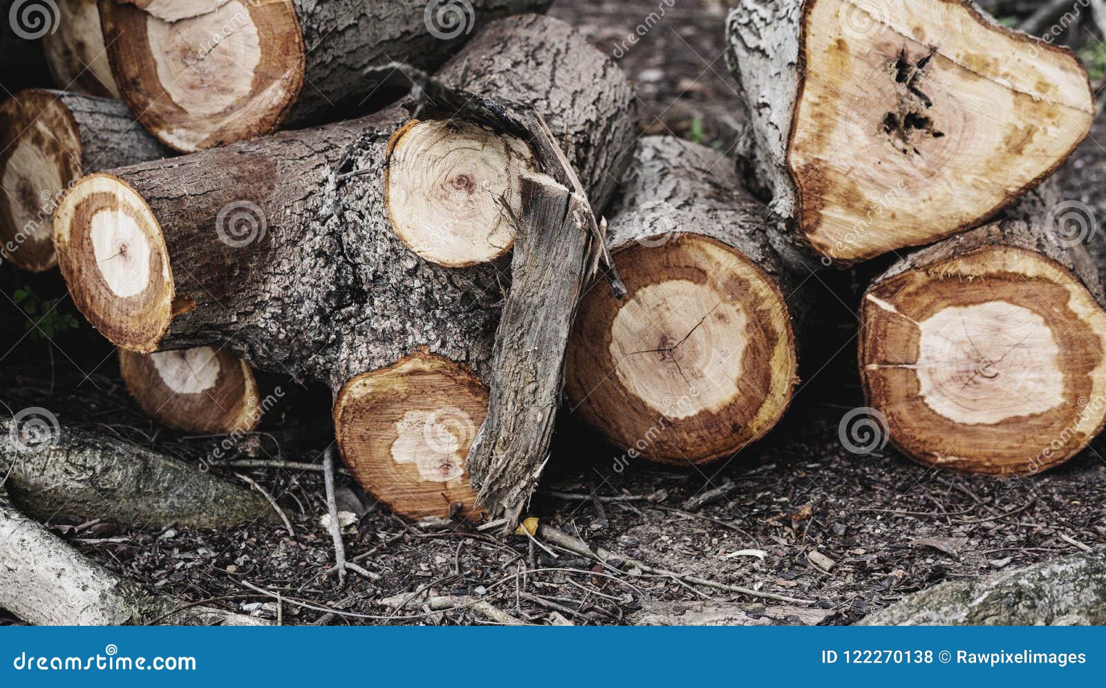 Wood Log Lumber Textured Wallpaper Stock Photo - Image of timber ...