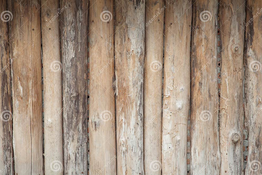 Wood log nature background stock image. Image of birch - 22882145