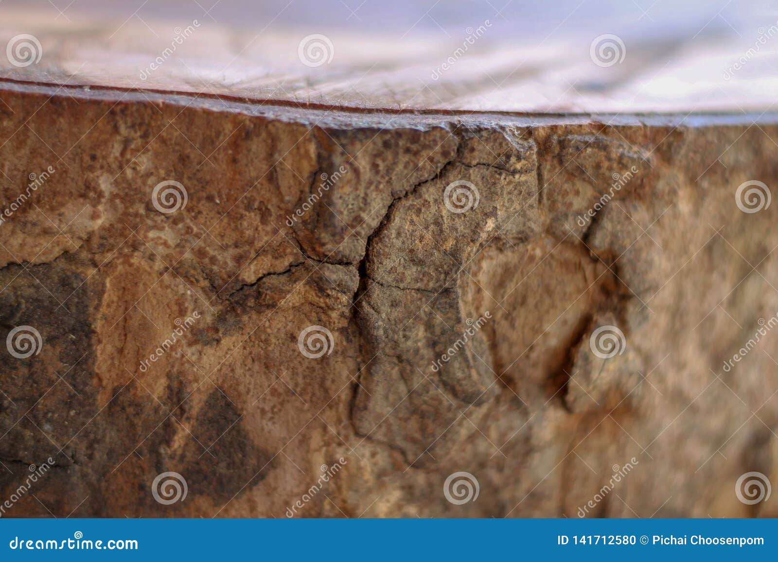 Wood log sliced stock photo. Image of brown, light, carpentry - 141712580