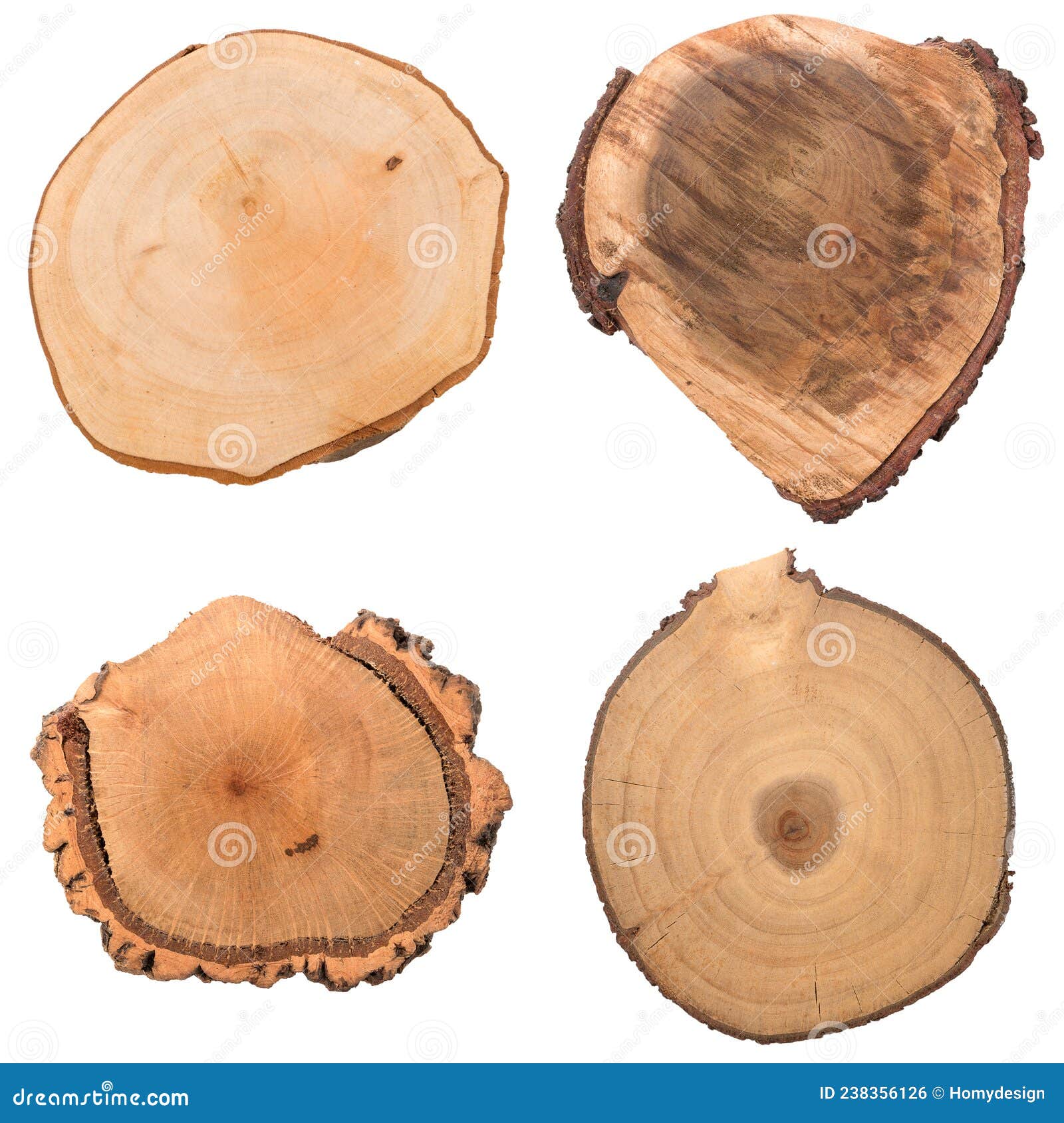 Wood log slices stock photo. Image of wood, texture - 238356126