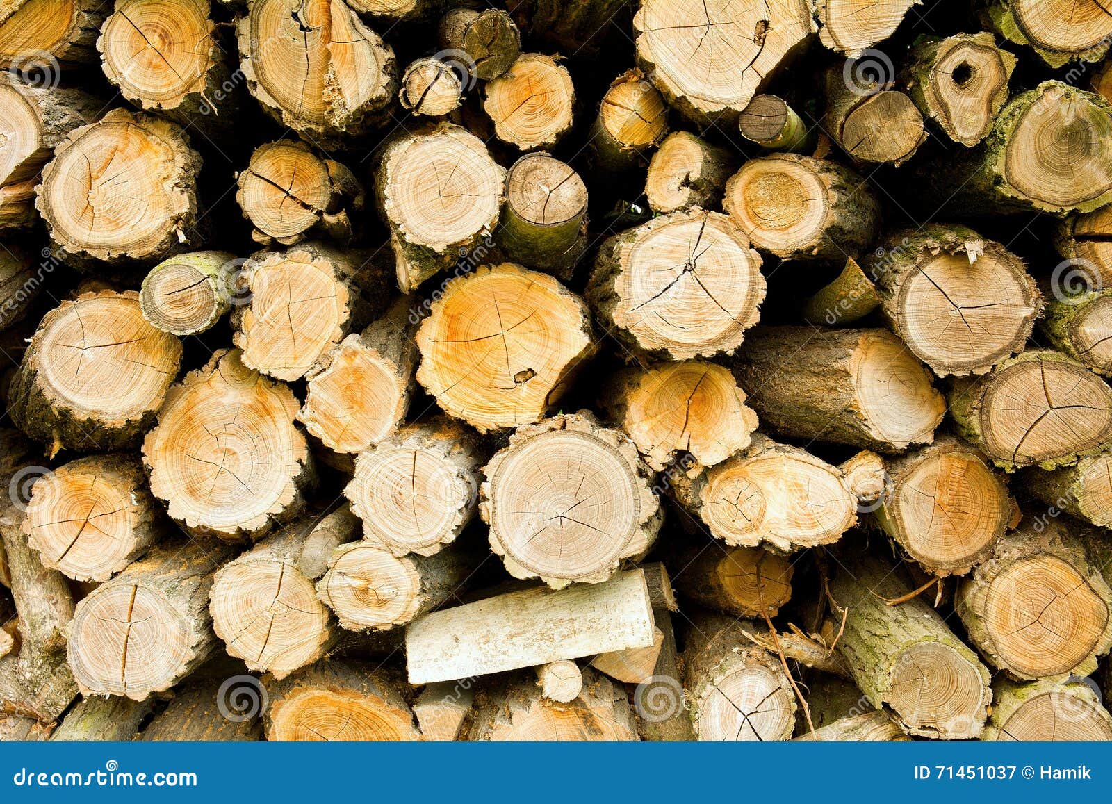 Wood log texture stock image. Image of logs, wooden, brown - 71451037