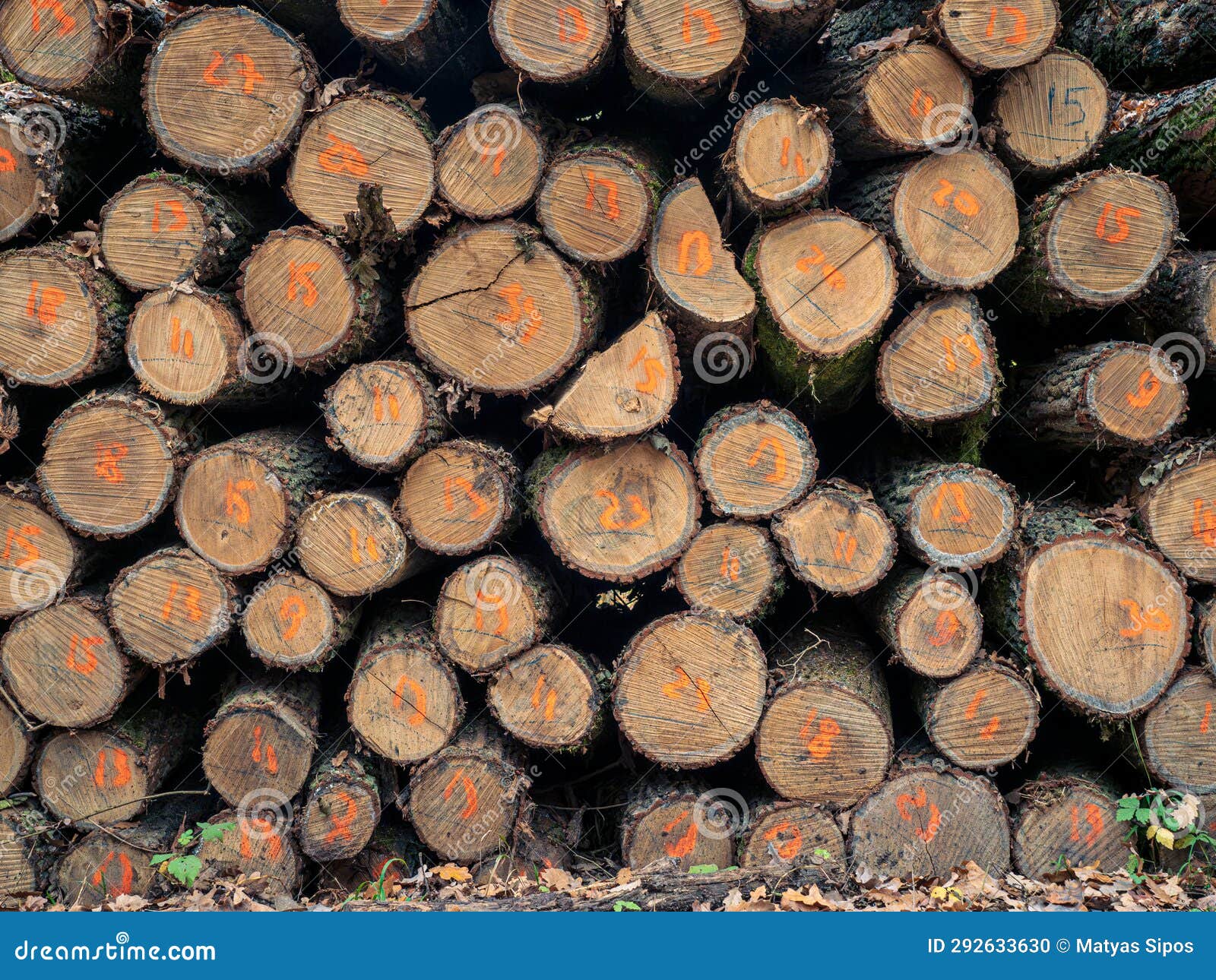 Wood Log Timber Pile Stack Frontal Closeup View Stock Photo - Image of ...