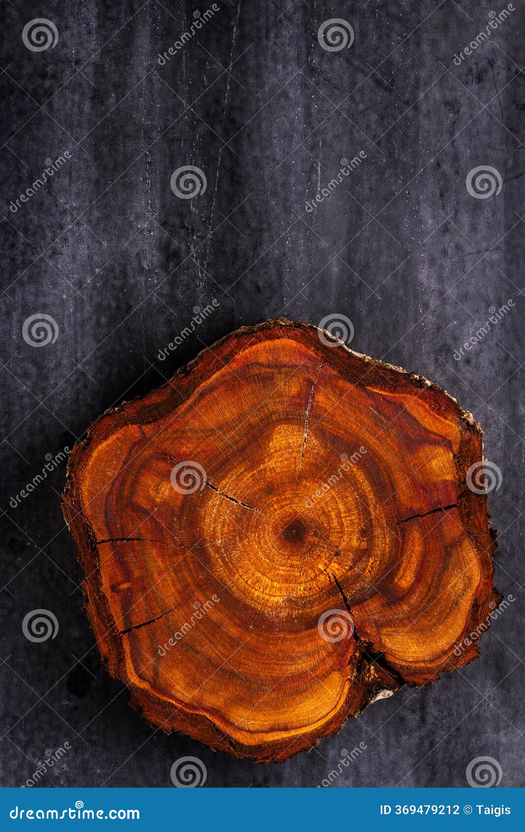Oak Tree Slice Texture. Irregular Shape Wood Slab With Annual Ri ...