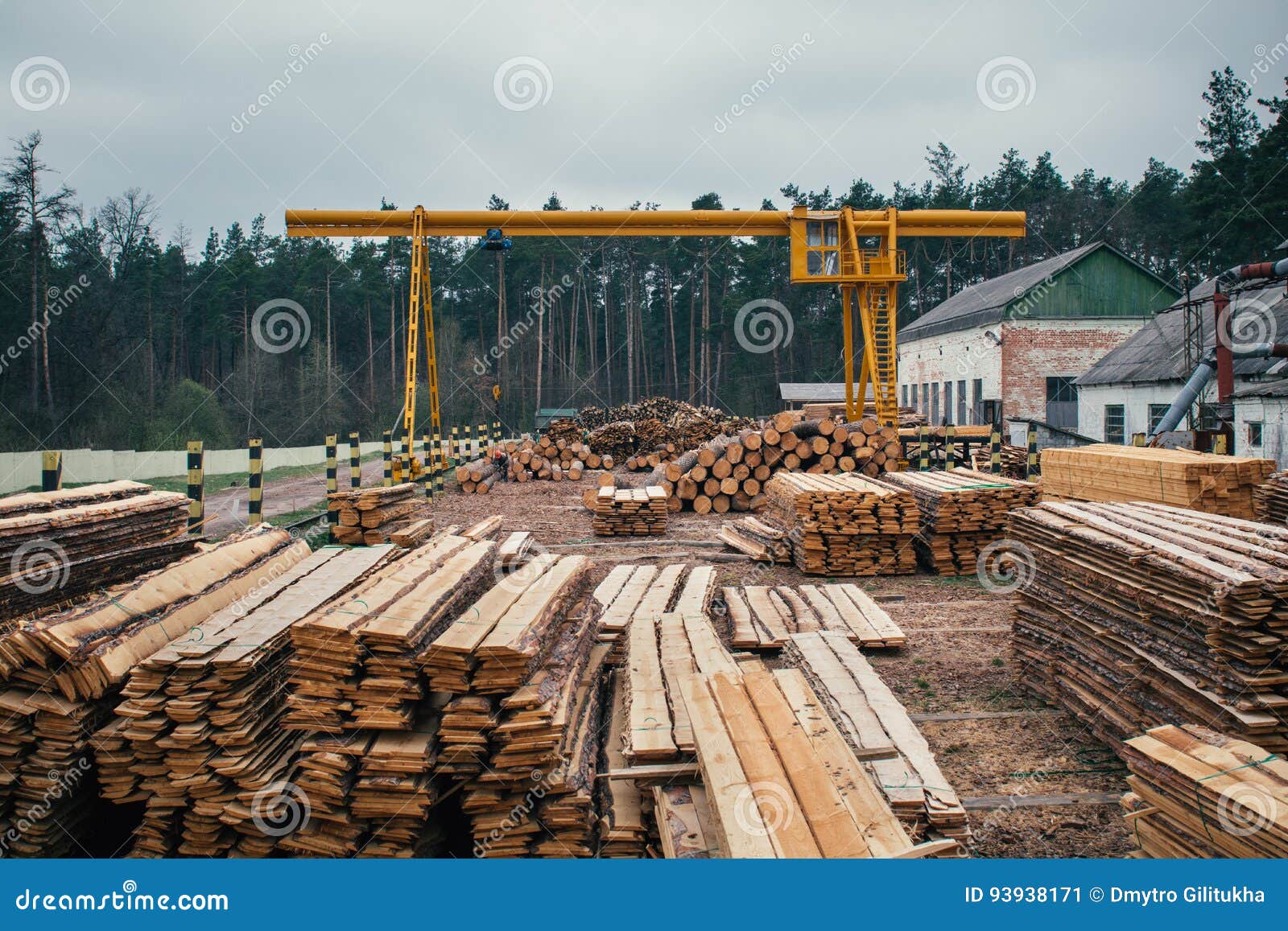 Wood Logging, Sorting, Transportation and Processing on Sawmill Stock ...