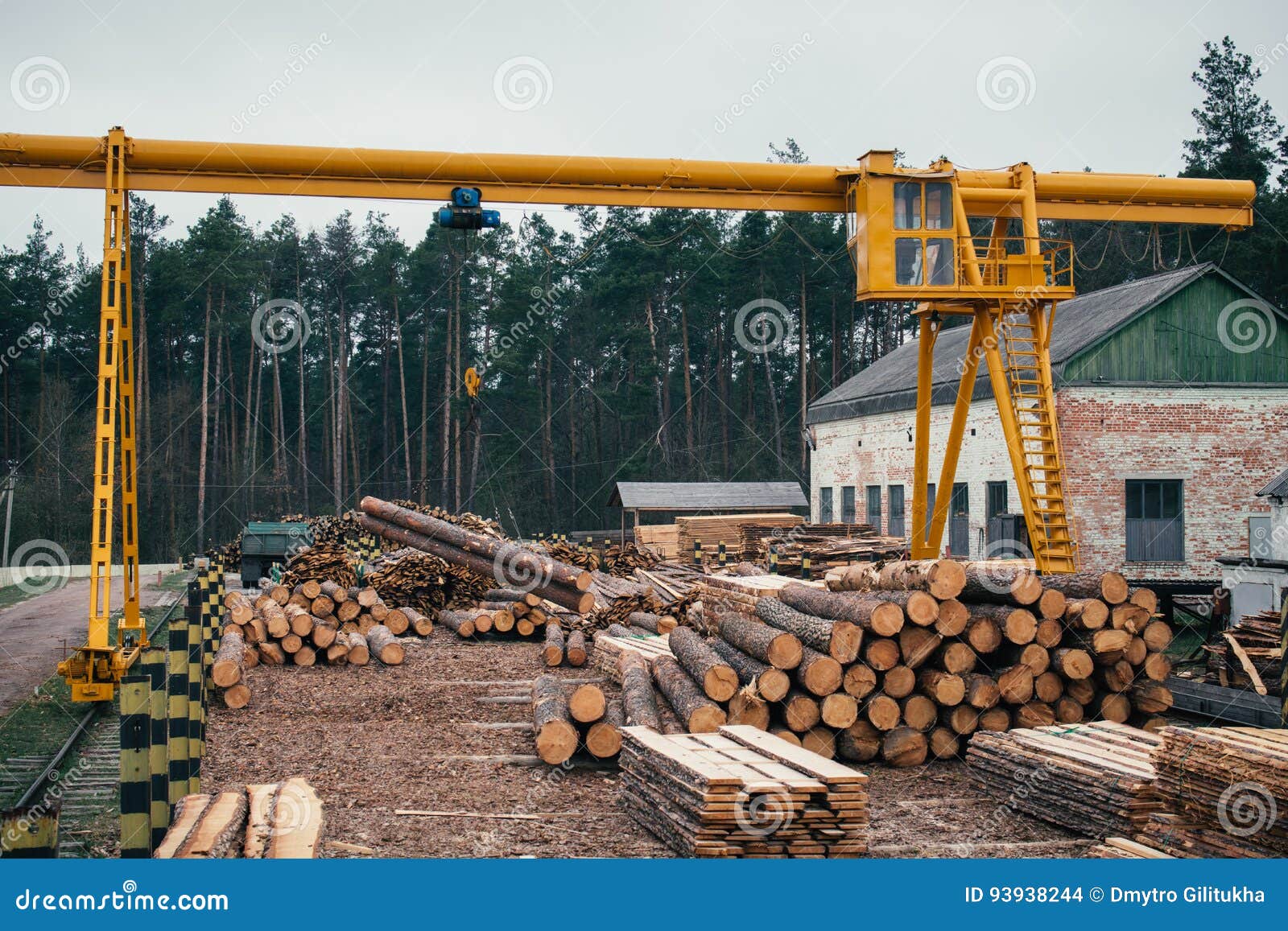 Wood Logging, Sorting, Transportation and Processing on Sawmill Stock ...