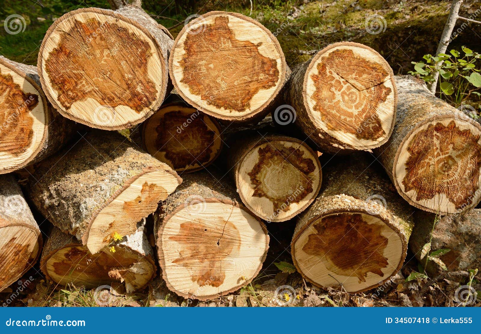 Wood logs stock photo. Image of brown, circle, industry - 34507418