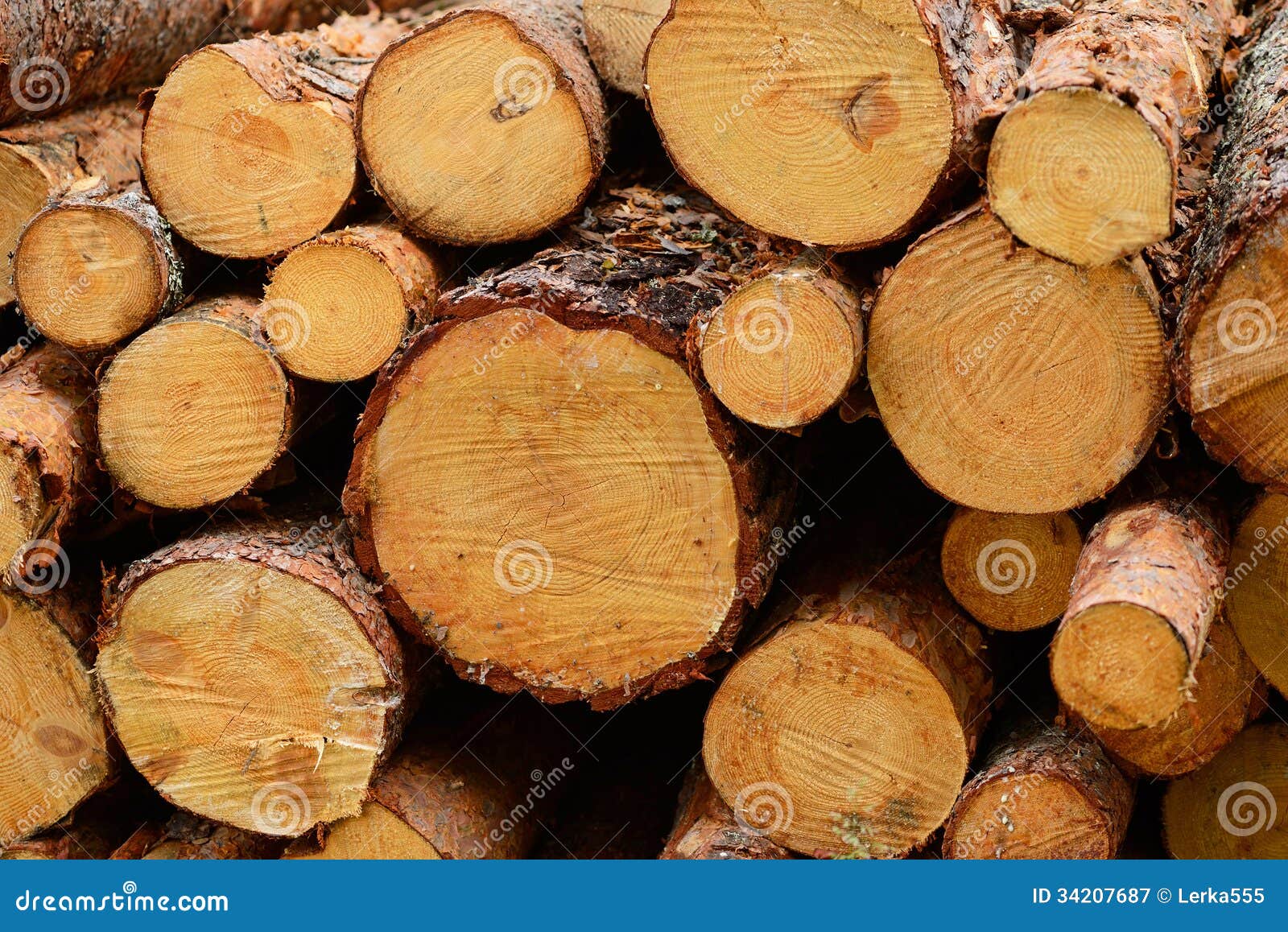 Wood logs stock image. Image of wooden, timber, tree - 34207687